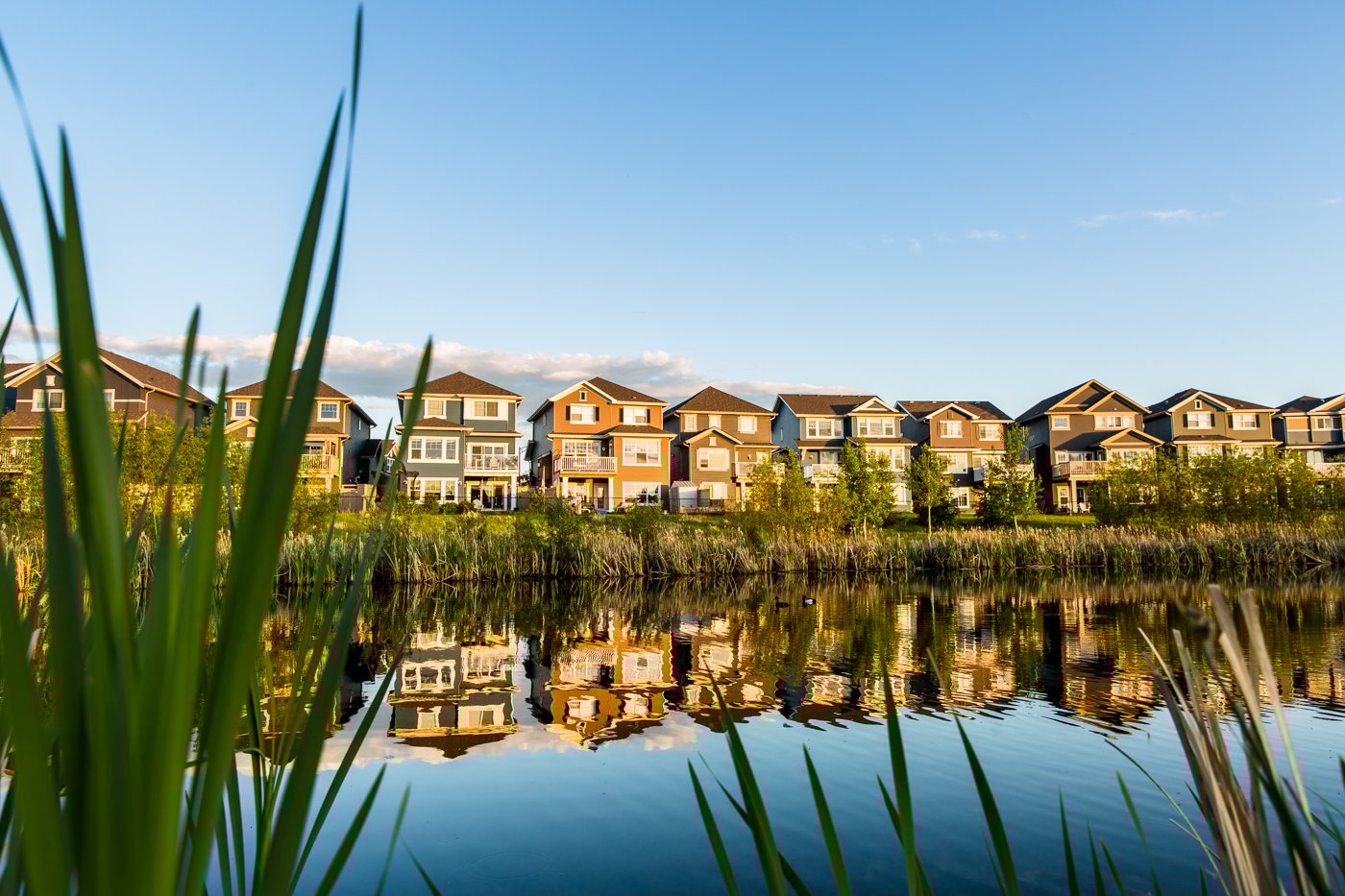Alberta Communities | Community Hub | Brookfield Residential Alberta